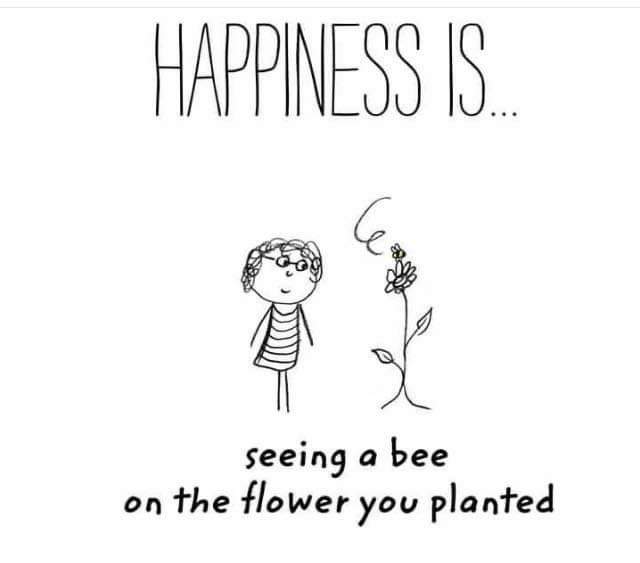 The butterfly – Blue Pen Strokes